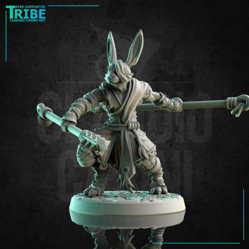 Exclusive Rabbitfolk Squad STL Product Bundle by Claudio Casini Art