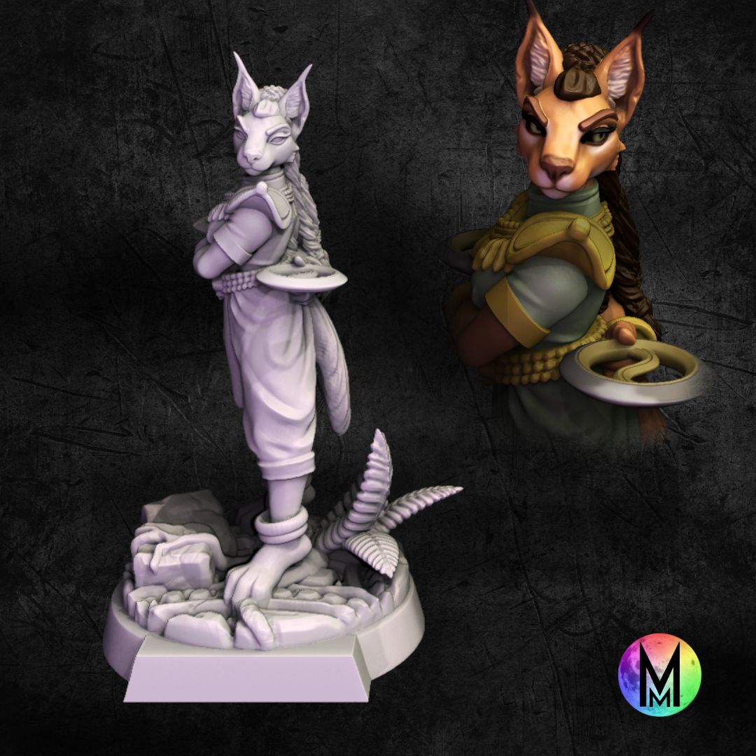 Exclusive Tabaxi / Cat Girls - Tabaxi rangers with chakrams ( Female ...