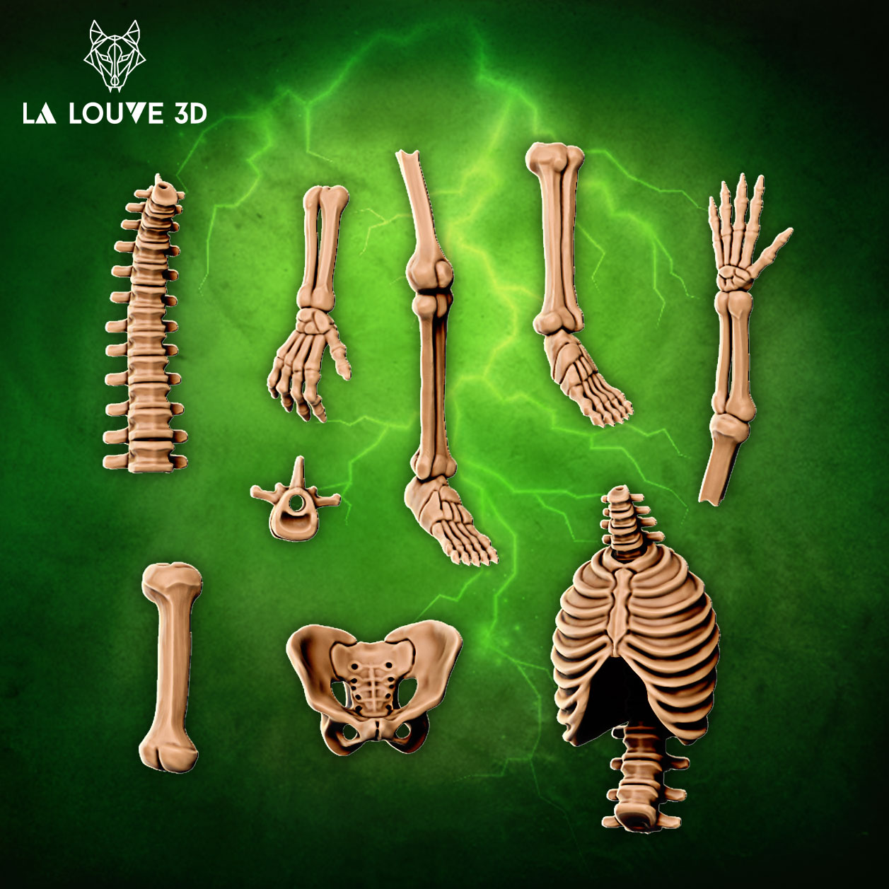 Exclusive Skulls and skeleton parts STL Product Bundle by La Louve 3D