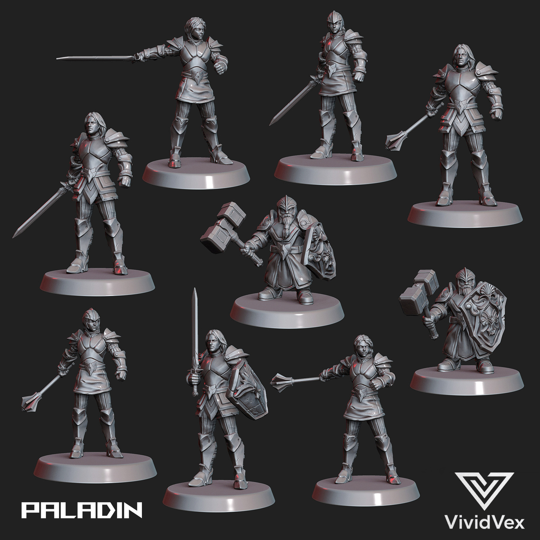 Exclusive Paladin Pack STL Product Bundle by VividVex