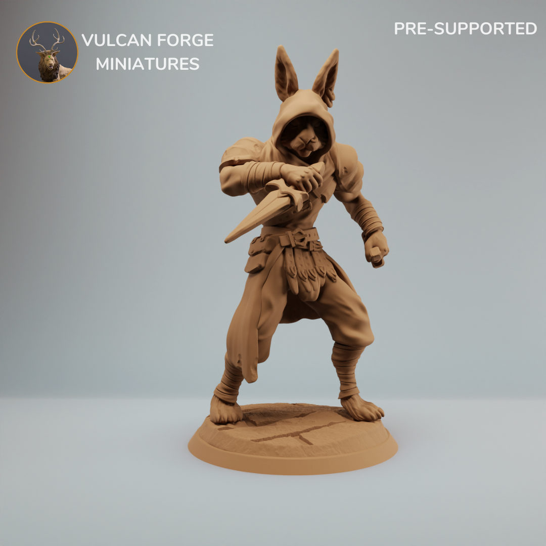 Exclusive Harengon rabbit folk bundle, harengon warriors with battle ...