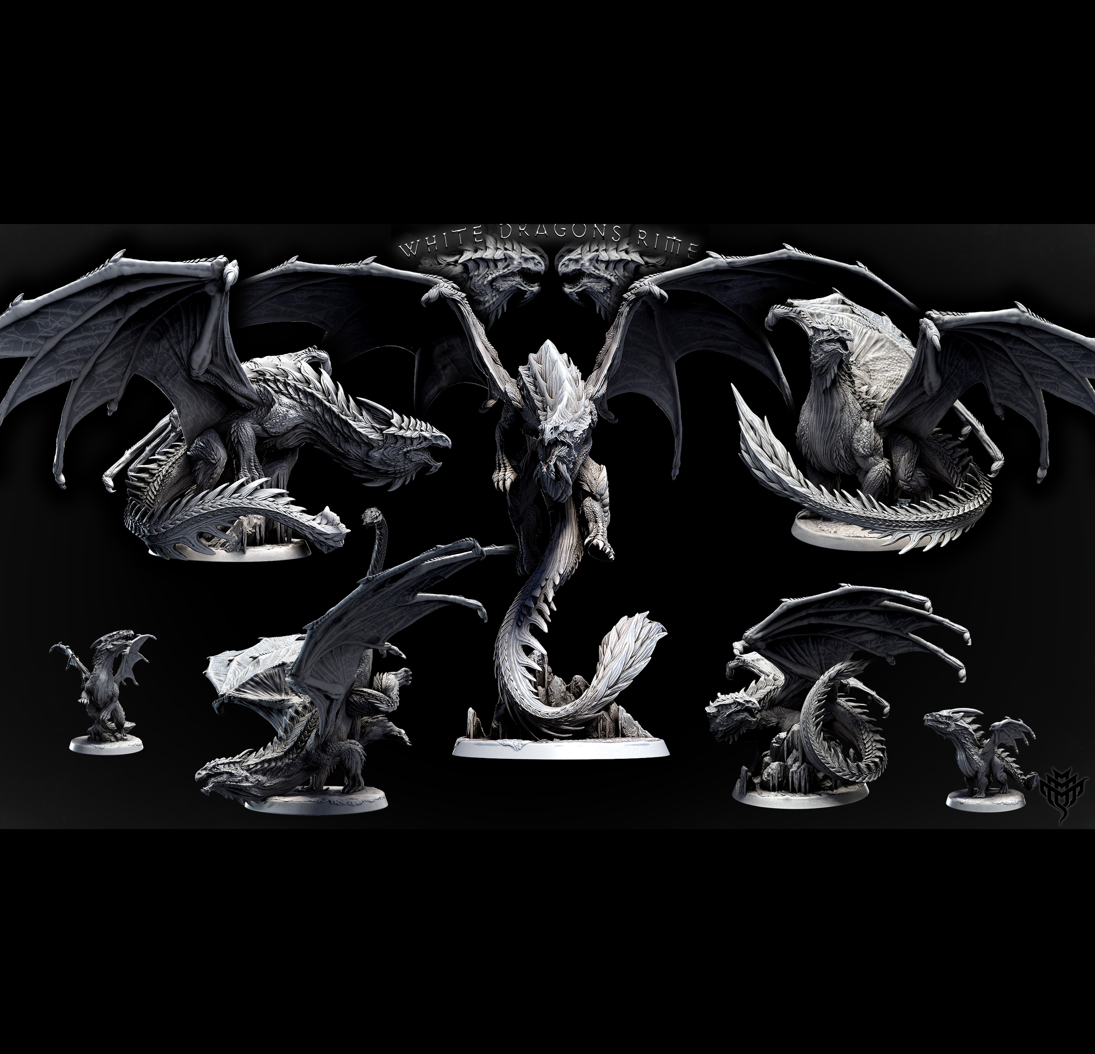 Exclusive White DRAGON (Young, Adolescent, Adult, Elder) (7 poses) STL ...