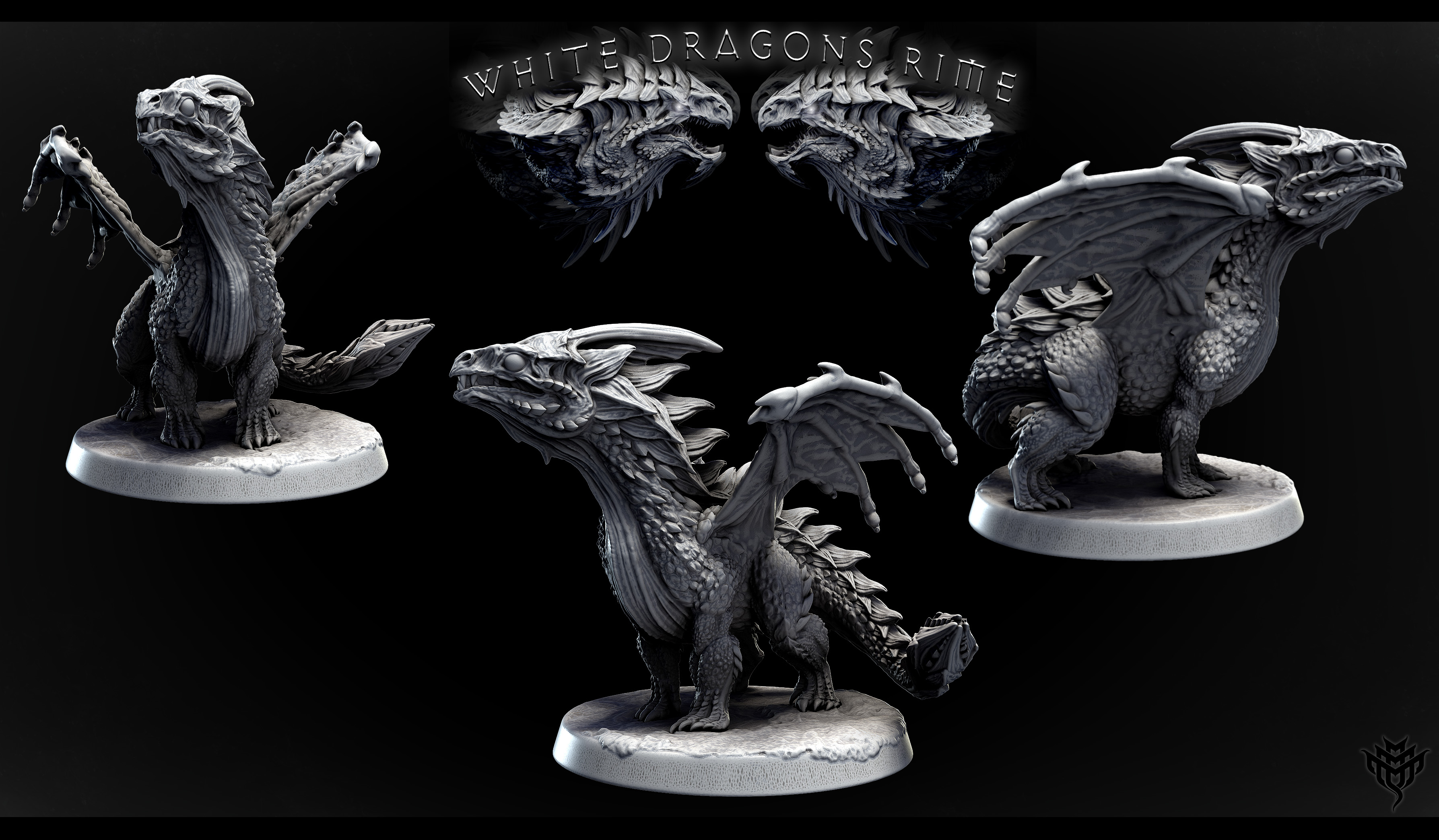 Exclusive White DRAGON (Young, Adolescent, Adult, Elder) (7 poses) STL ...